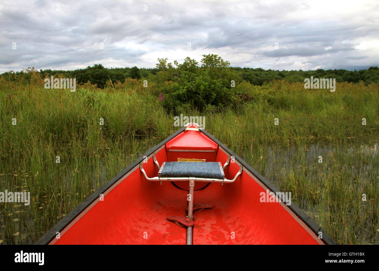 Canoe plants hi-res stock photography and images - Alamy