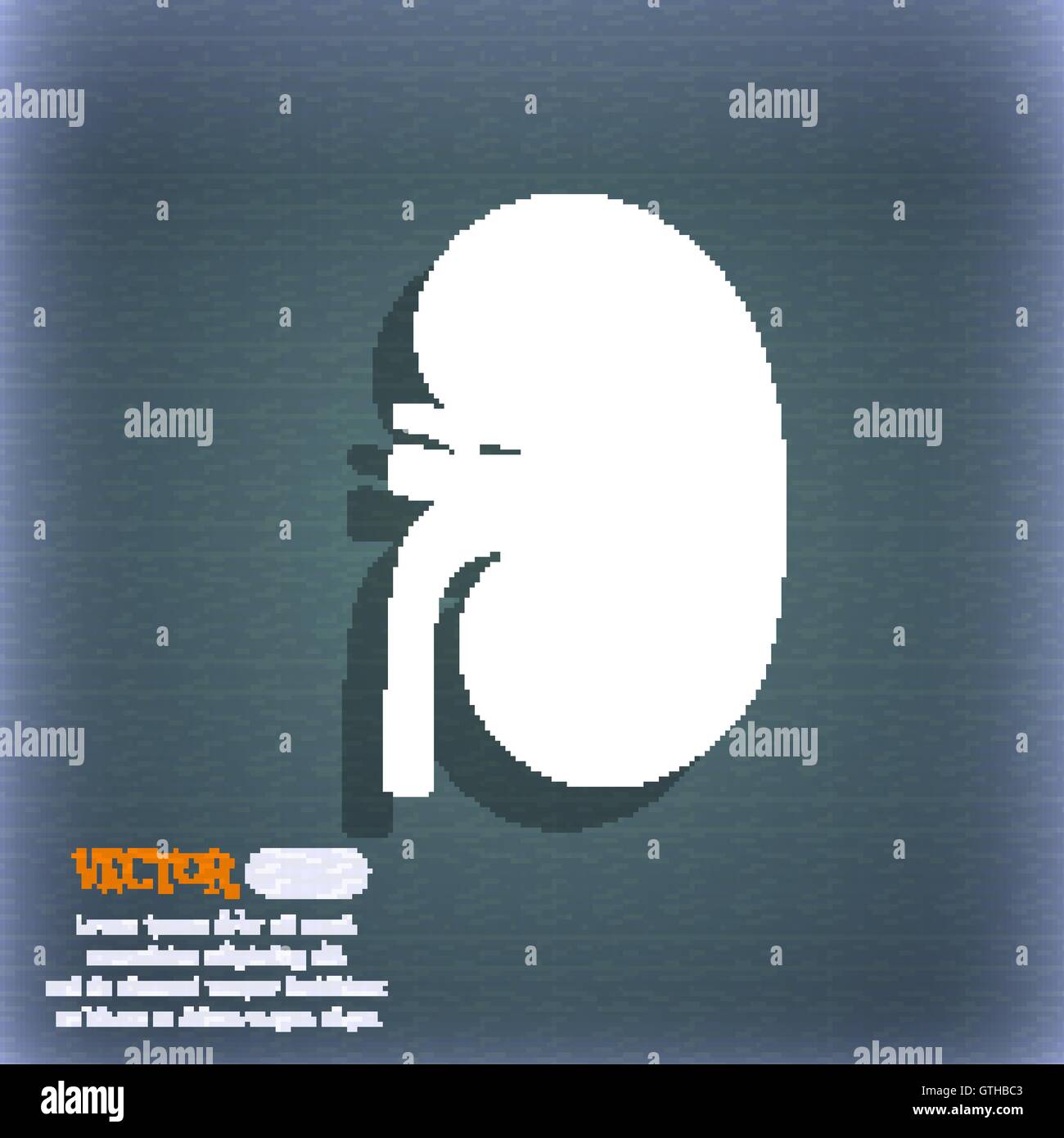 Kidney icon. On the blue-green abstract background with shadow and ...