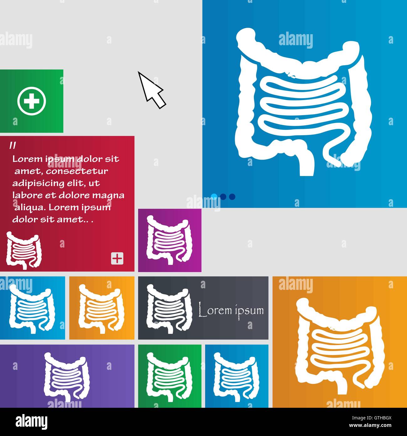 Intestines icon sign. buttons. Modern interface website buttons with ...