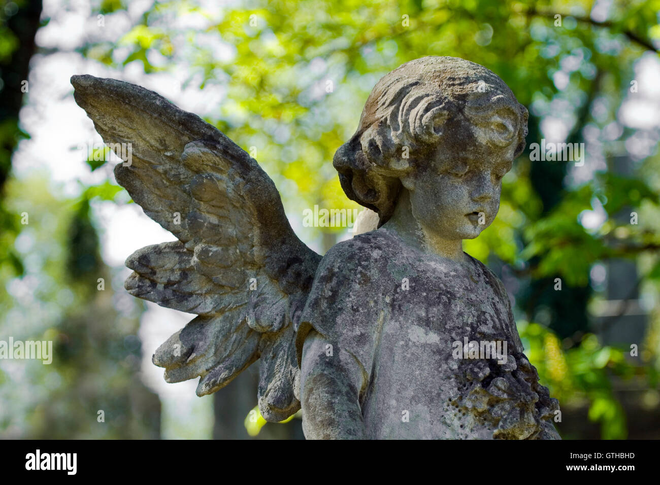 Old cemetery angel sculpture made of stone Stock Photo - Alamy