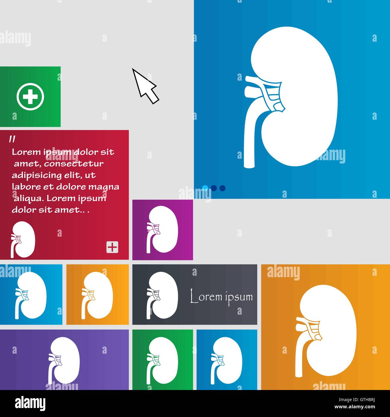 Kidney icon sign. buttons. Modern interface website buttons with cursor ...