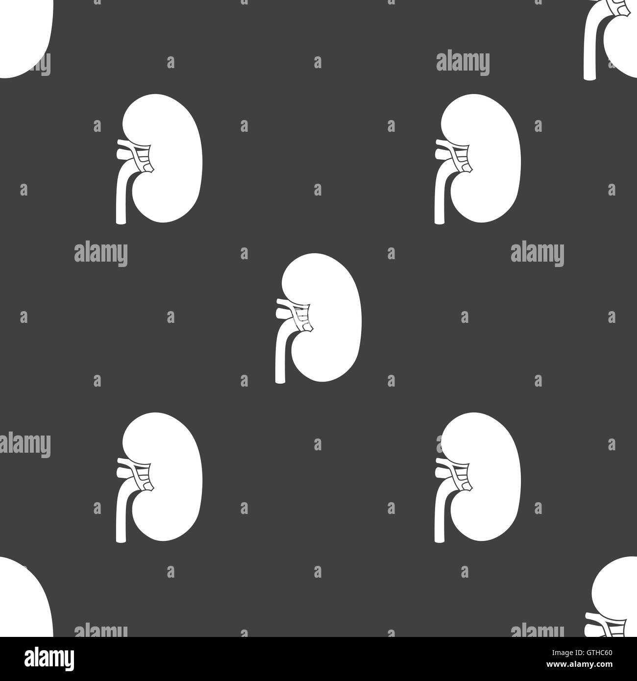 Kidney sign. Seamless pattern on a gray background. Vector Stock Vector ...