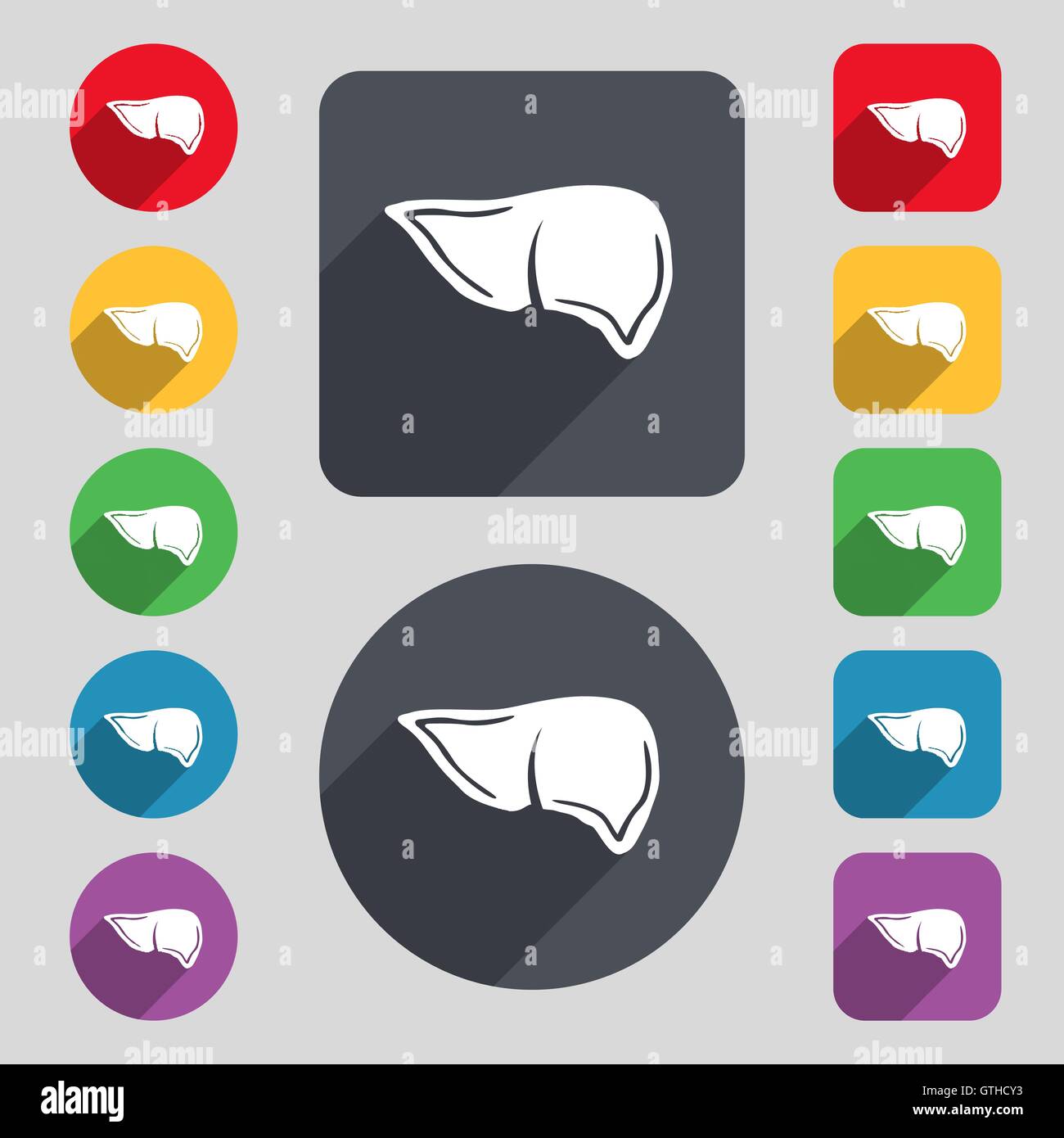 Liver icon sign. A set of 12 colored buttons and a long shadow. Flat ...