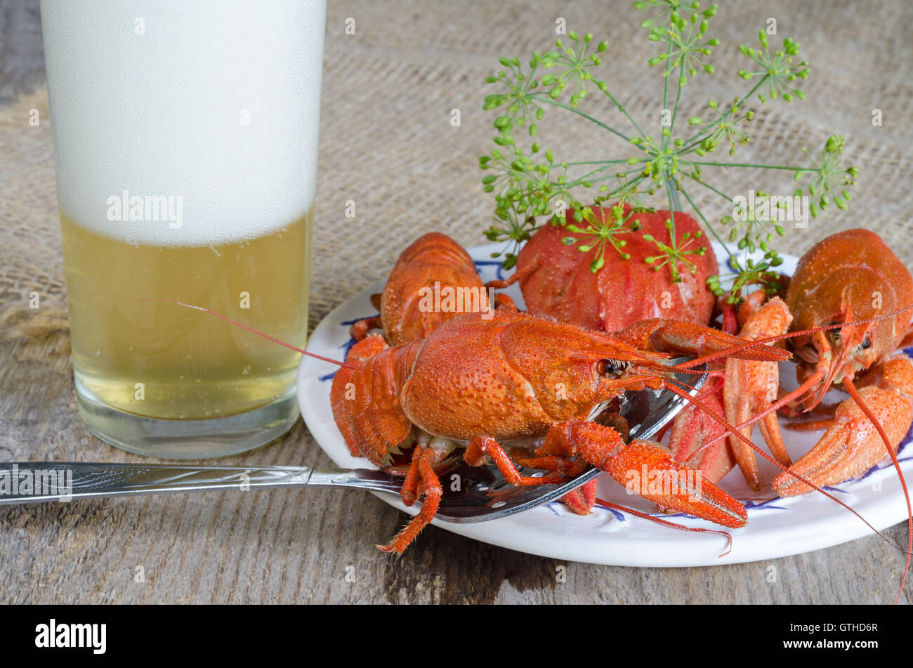 Cooked freshwater crayfish, with dill and beer Stock Photo - Alamy