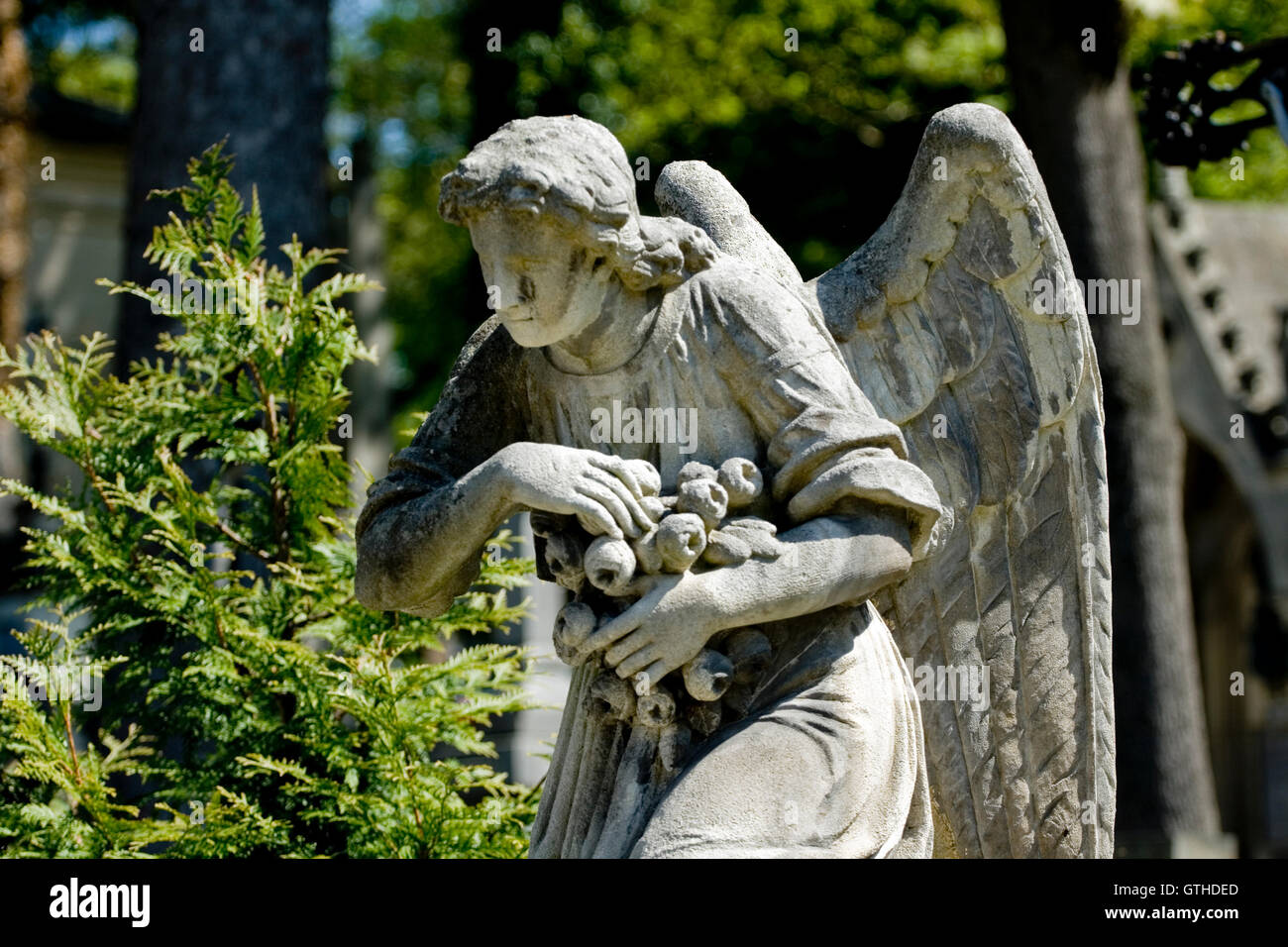 Old cemetery angel sculpture made of stone Stock Photo - Alamy