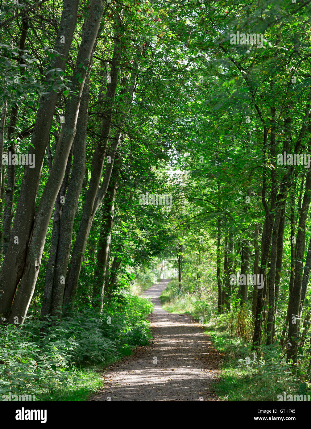 Leading away hi-res stock photography and images - Alamy