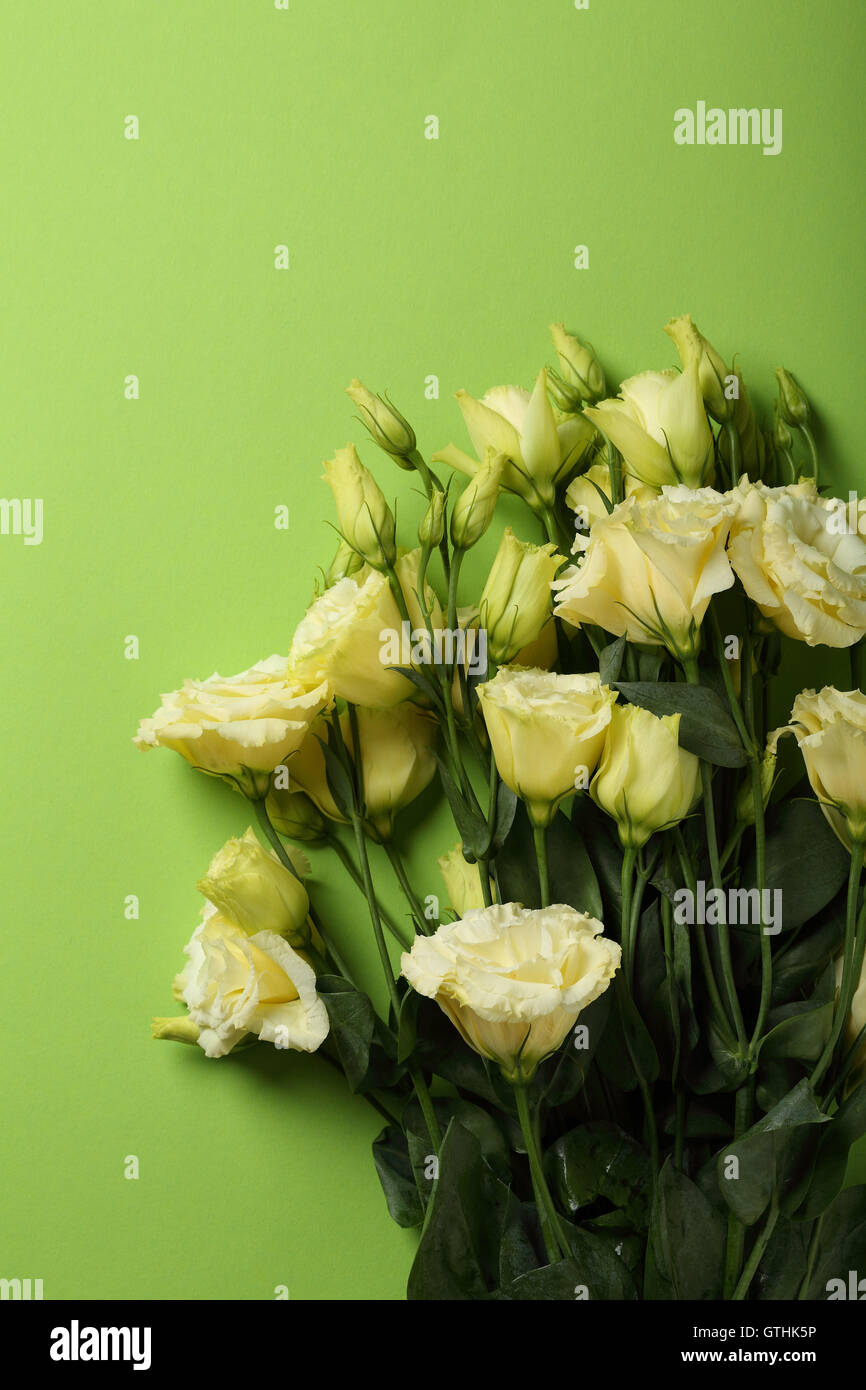 Eustoma flowers background, above Stock Photo - Alamy