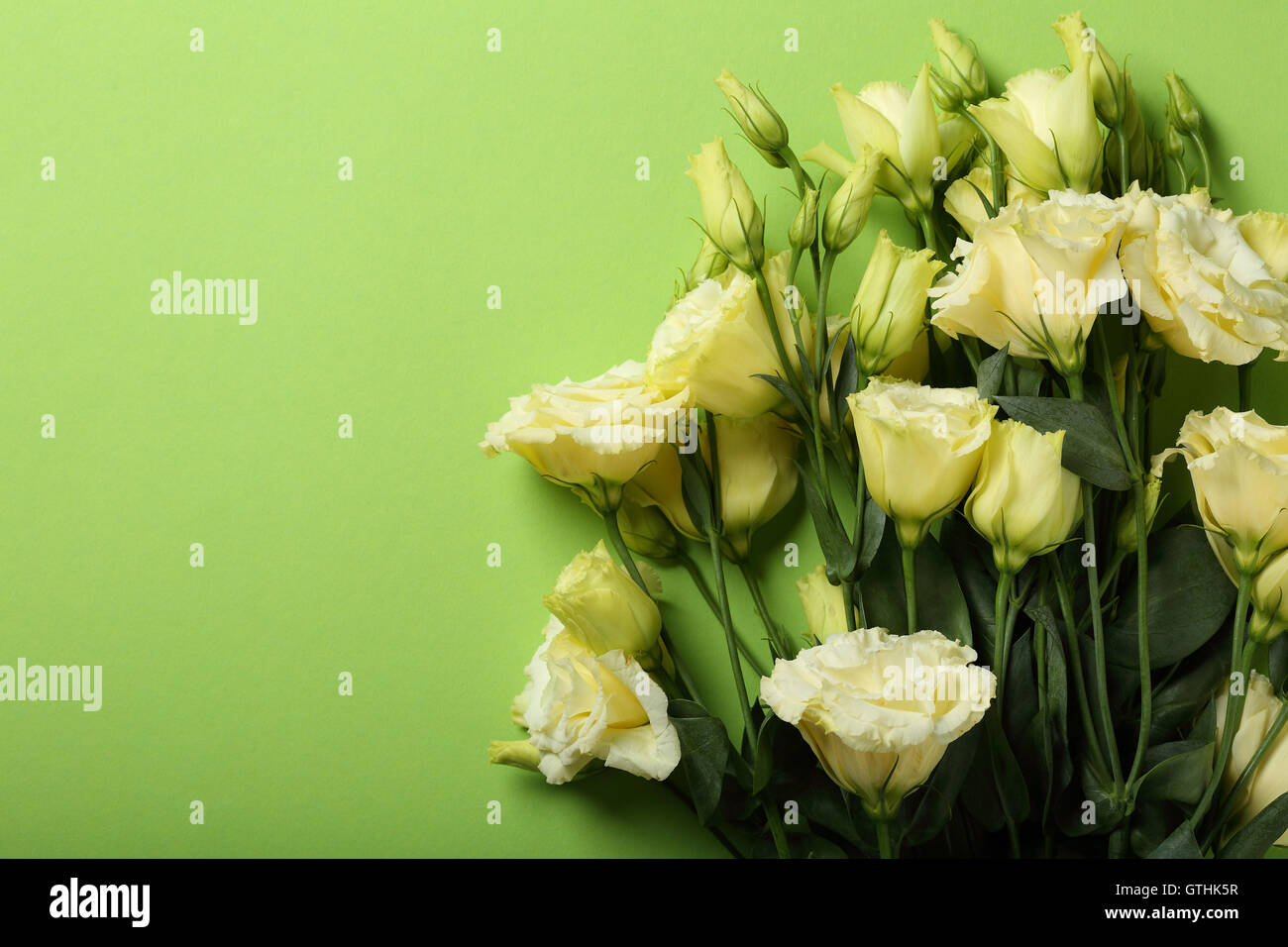 Green flowers background, top view Stock Photo - Alamy