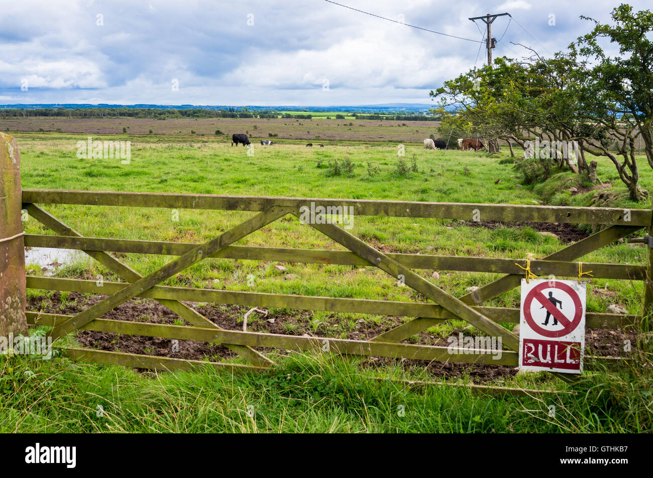 Bull gate hi-res stock photography and images - Alamy