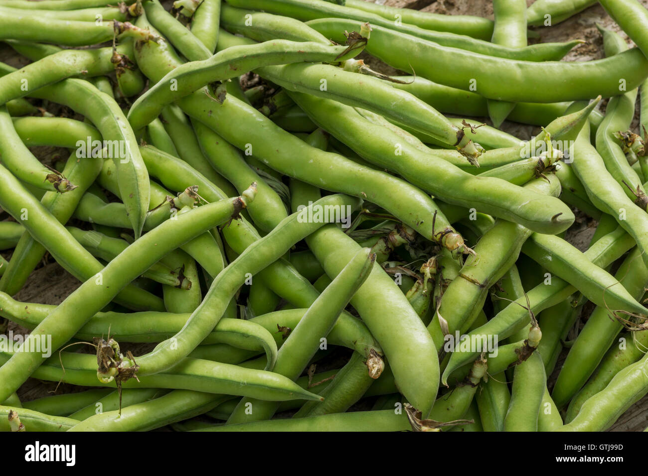 Close up of fresh green beans background Stock Photo - Alamy