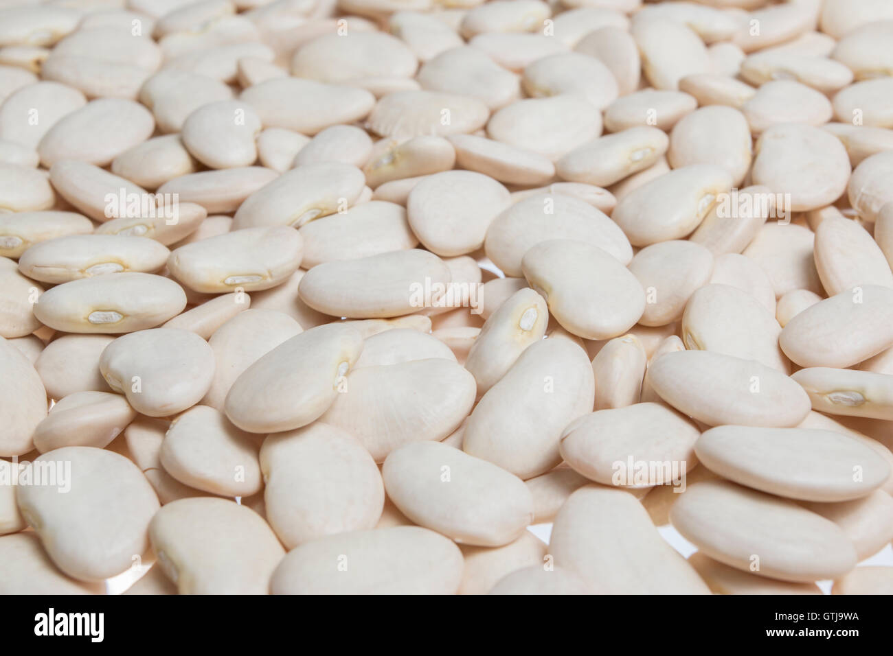 Closeup of texture background with raw white beans Stock Photo - Alamy