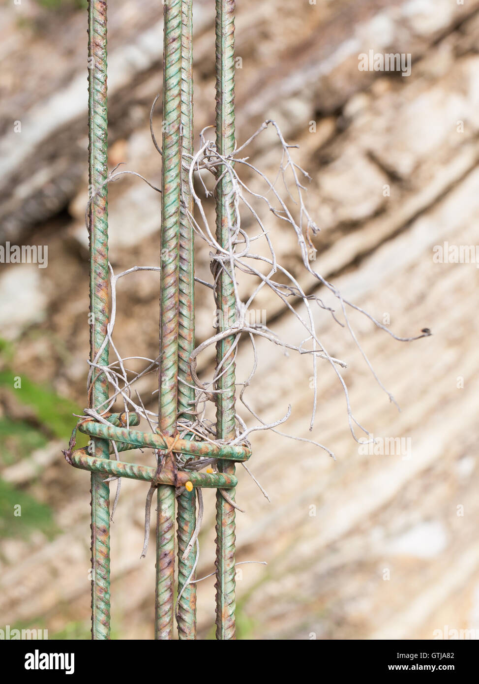 Steel rod or bar used to reinforce concrete Stock Photo - Alamy