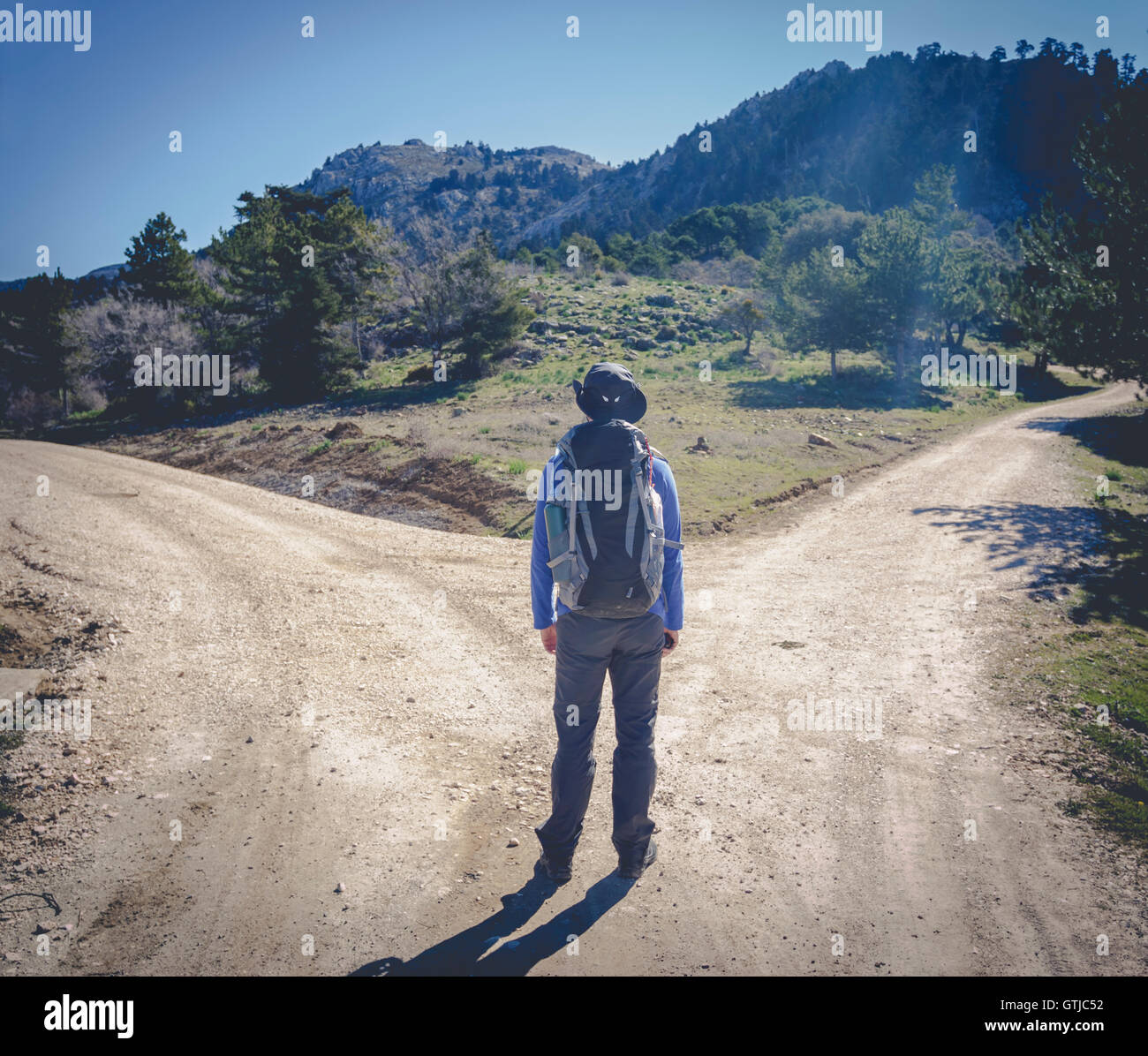 Two paths fork forest hi-res stock photography and images - Alamy