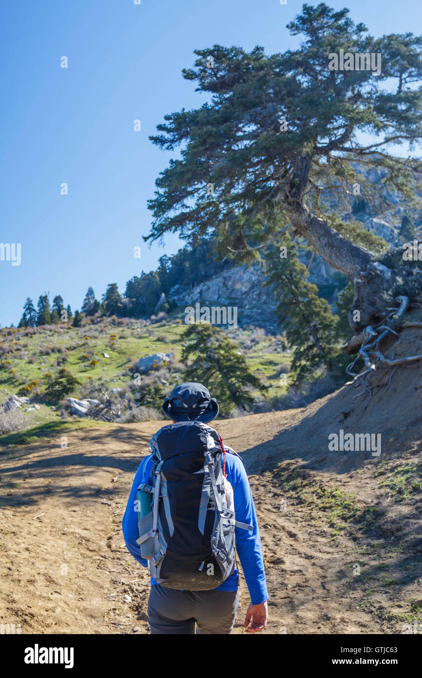 Rear view of a man hiking at the mountain Stock Photo - Alamy
