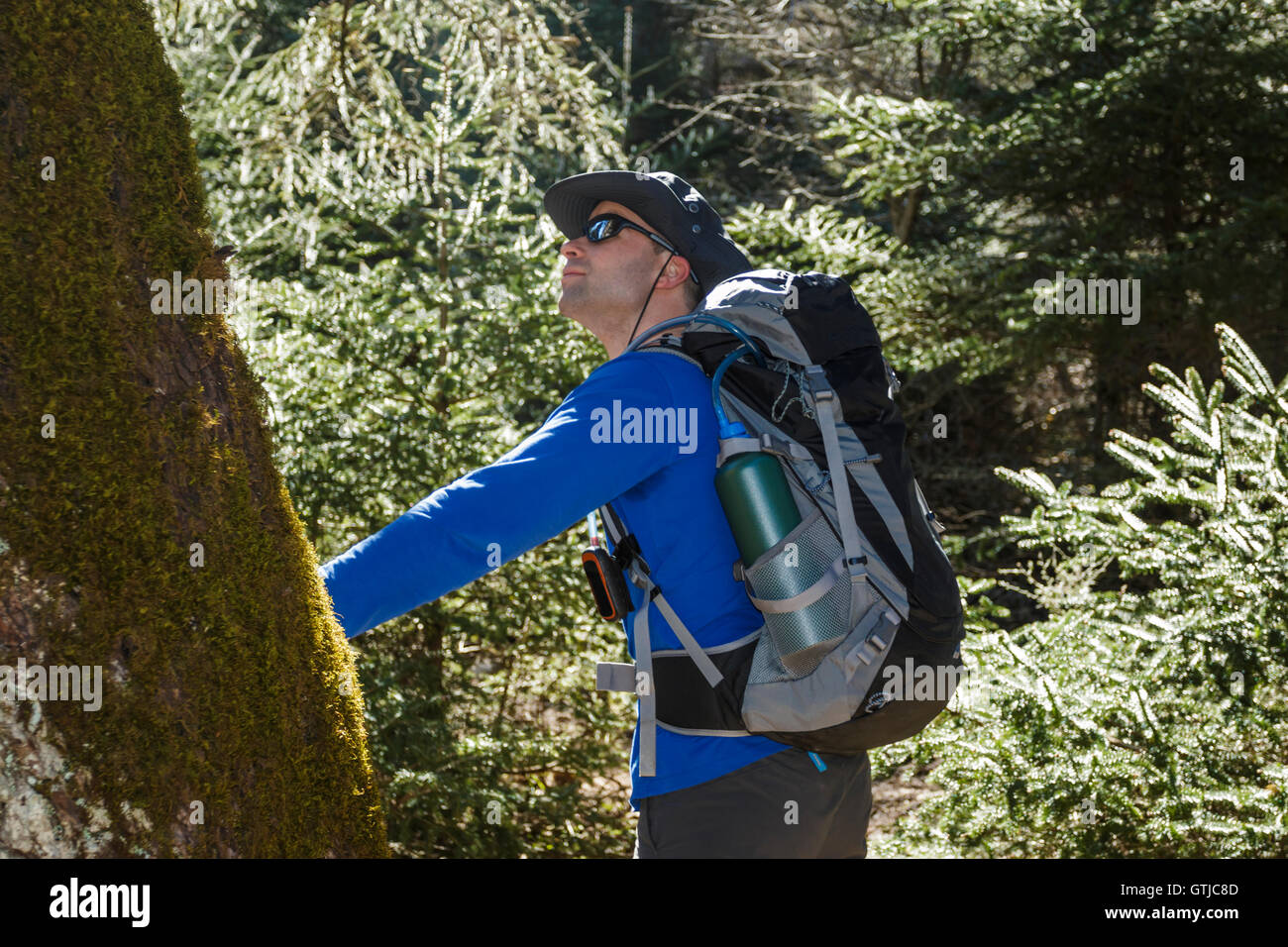 Male hand touching a tree hi-res stock photography and images - Alamy