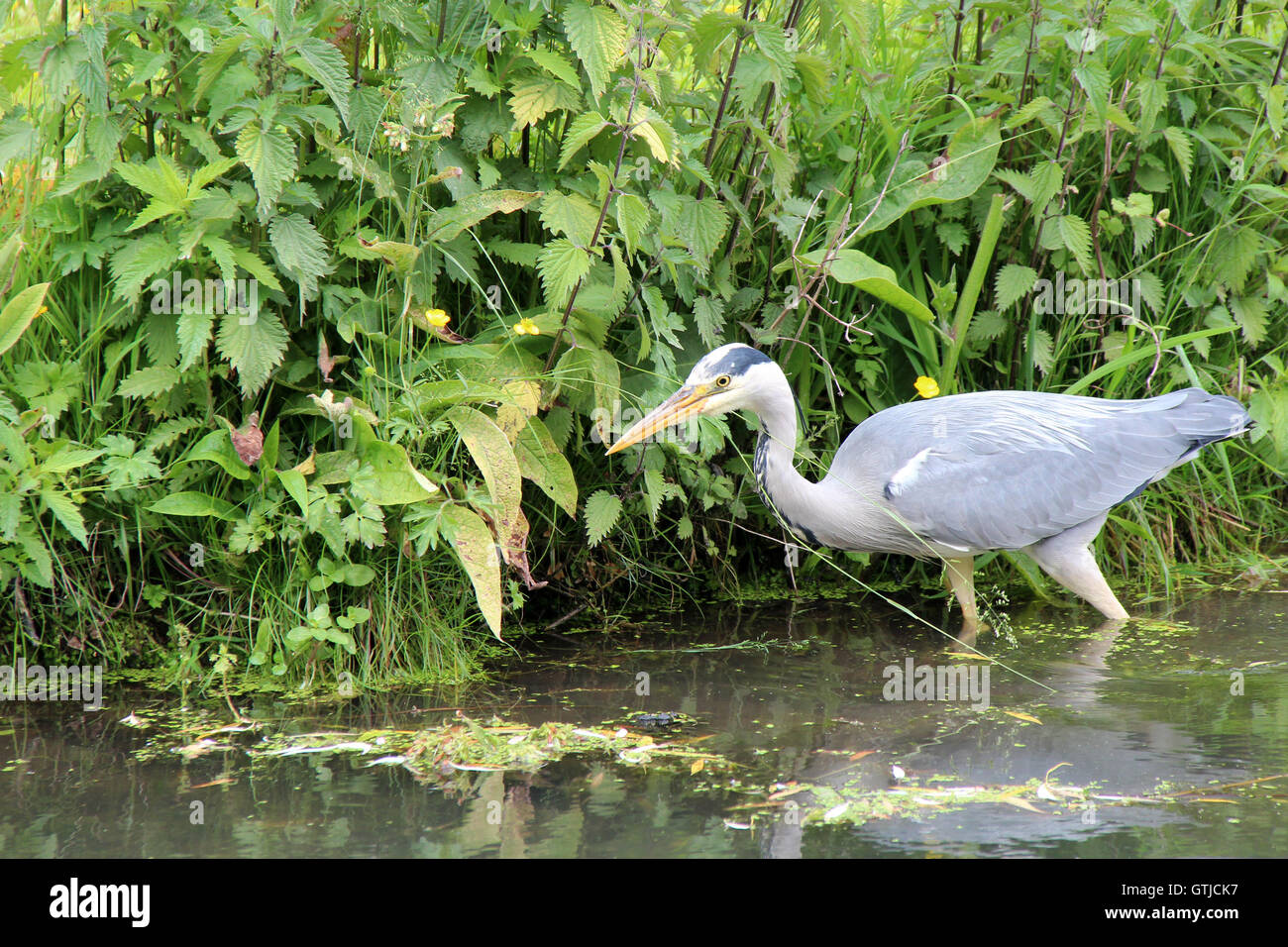 Lille River High Resolution Stock Photography and Images - Alamy
