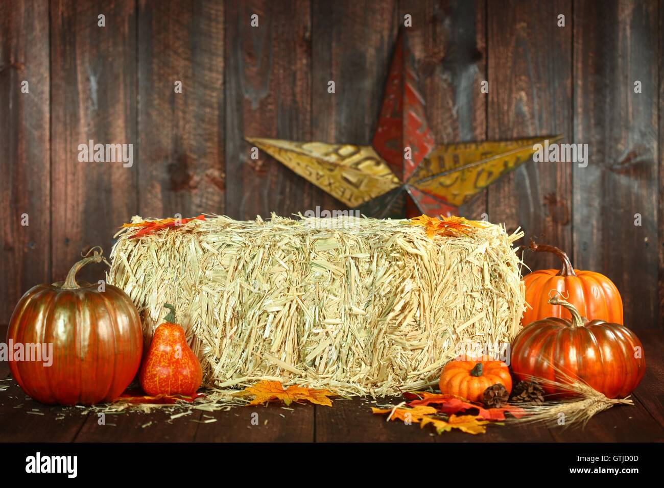 Fall Themed Scene With Pumpkins on Wood Stock Photo - Alamy