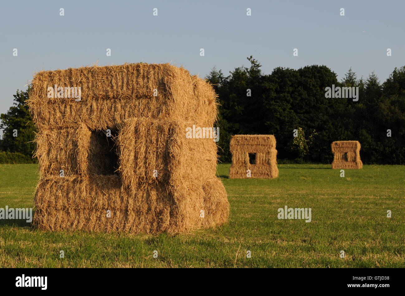 Rowfant hi-res stock photography and images - Alamy