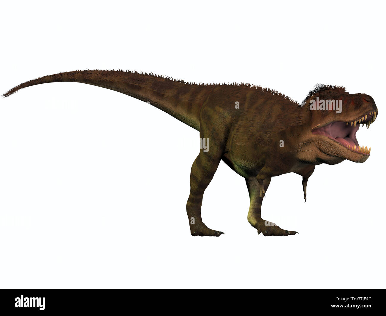 T rex dinosaur Cut Out Stock Images & Pictures - Alamy