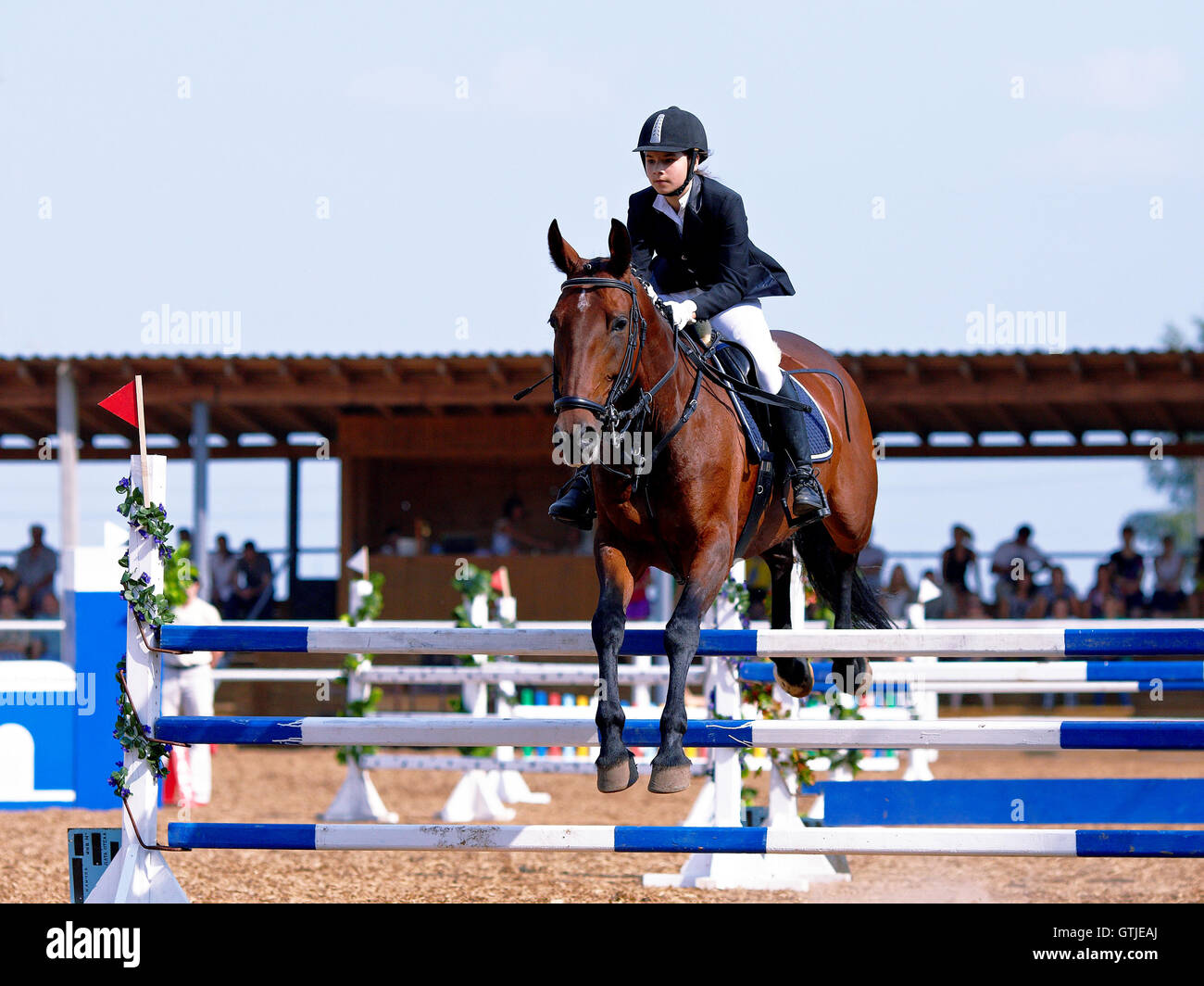 Competitions on a show jumping Stock Photo - Alamy