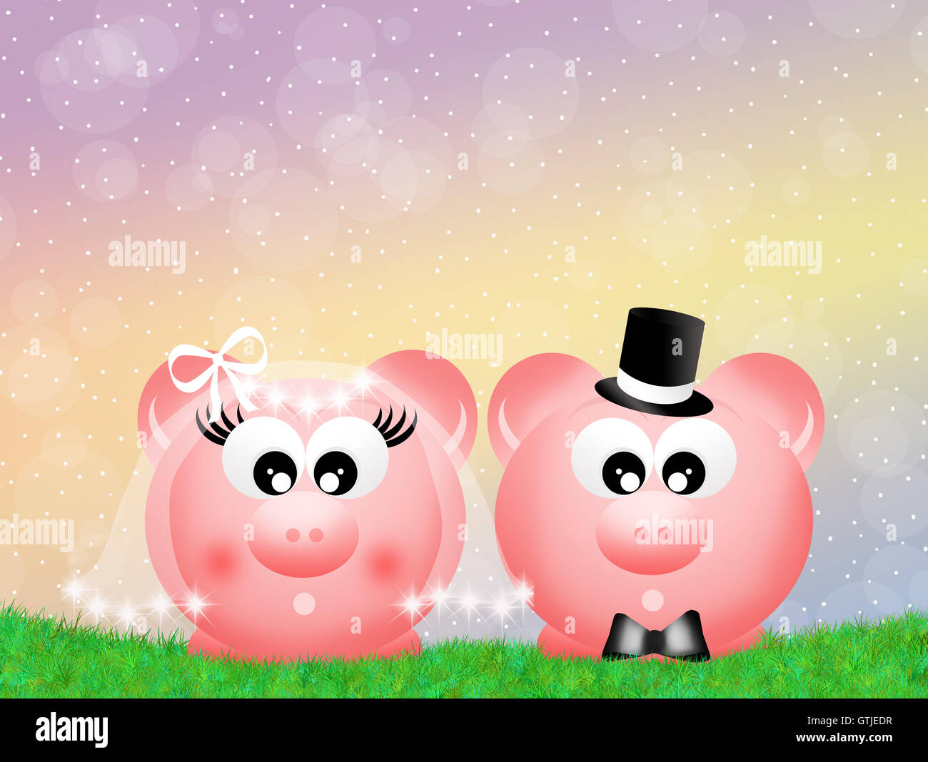 Pigs in love Stock Photo - Alamy