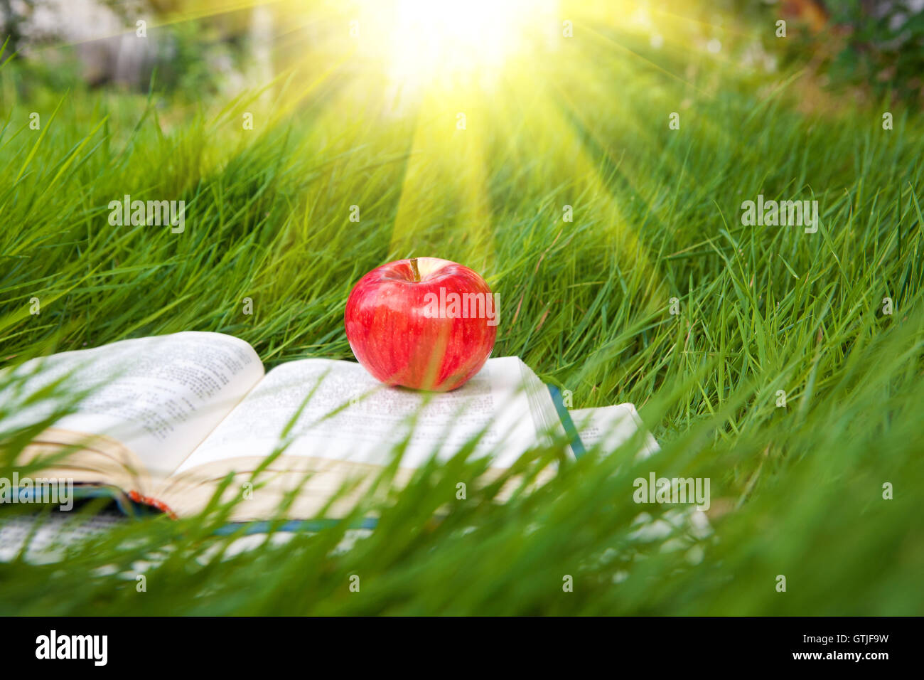 sun over the book with apple Stock Photo - Alamy