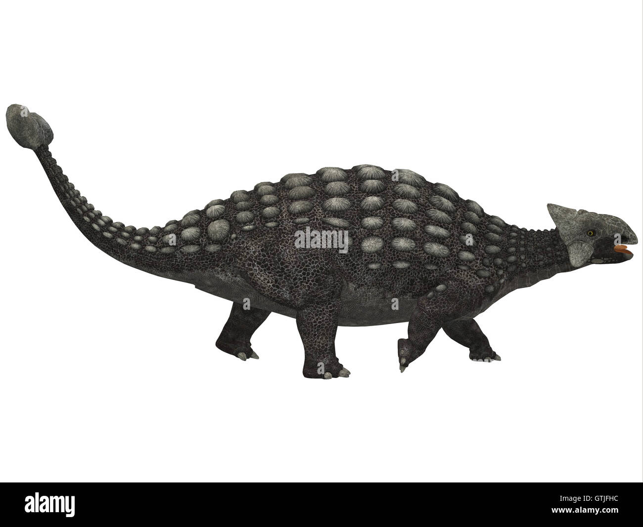 Ankylosaurus hi-res stock photography and images - Alamy
