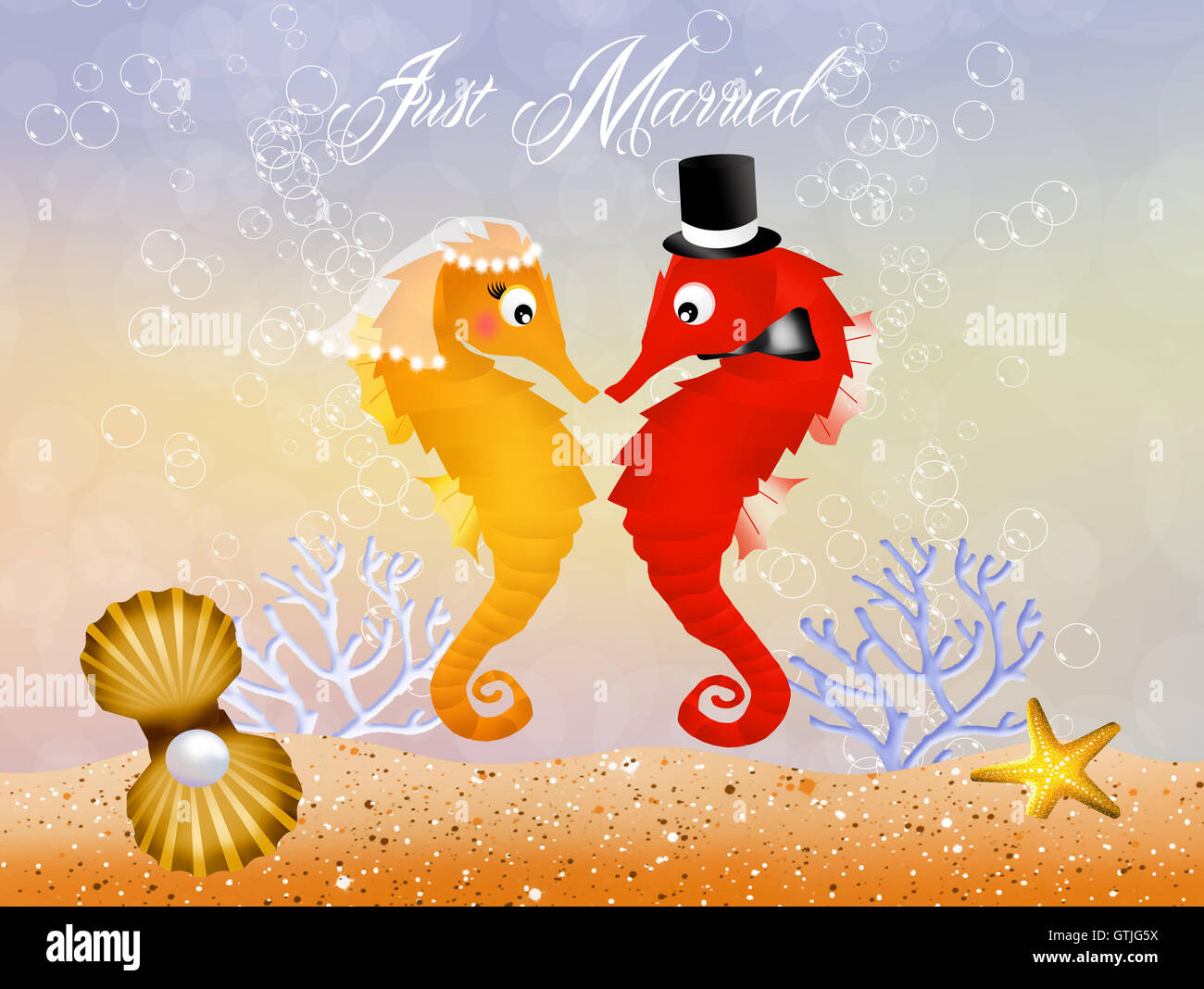 seahorses in love Stock Photo - Alamy
