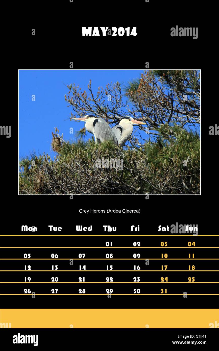 Bird calendar for 2014 - may Stock Photo - Alamy