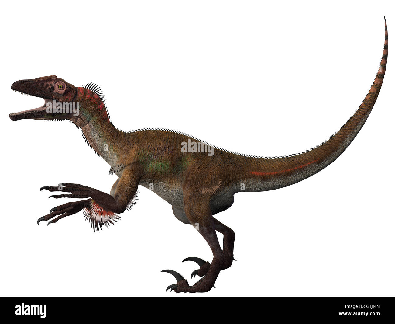 Utahraptor hi-res stock photography and images - Alamy