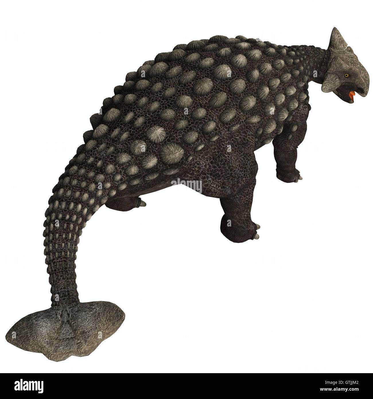 Ankylosaurus hi-res stock photography and images - Alamy