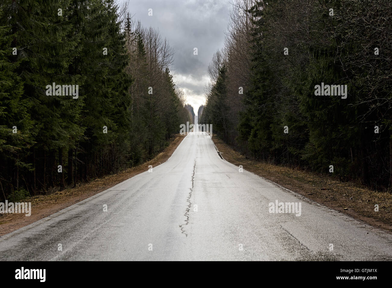 Straight road in forest hi-res stock photography and images - Alamy