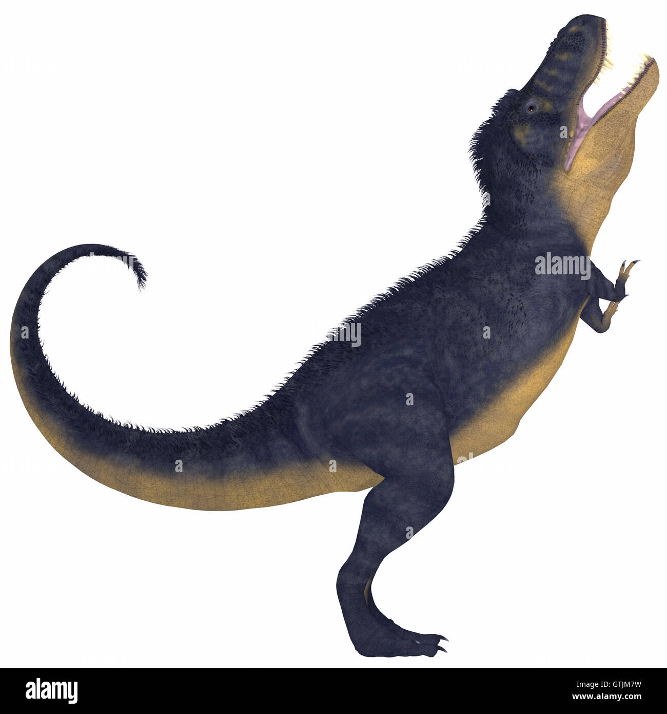 T rex dinosaur hi-res stock photography and images - Alamy