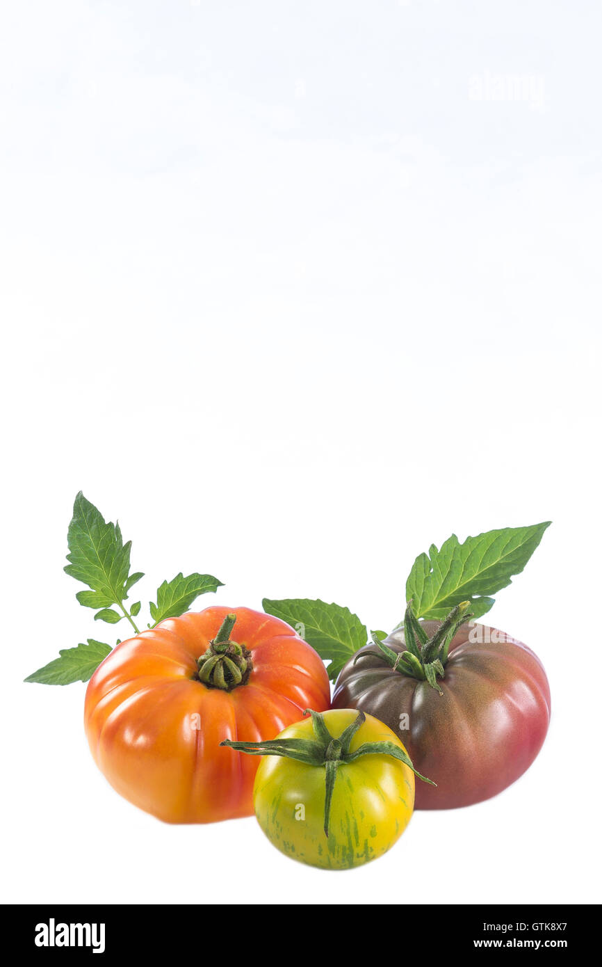 assorted old variety of tomatoes isolated on white Stock Photo - Alamy