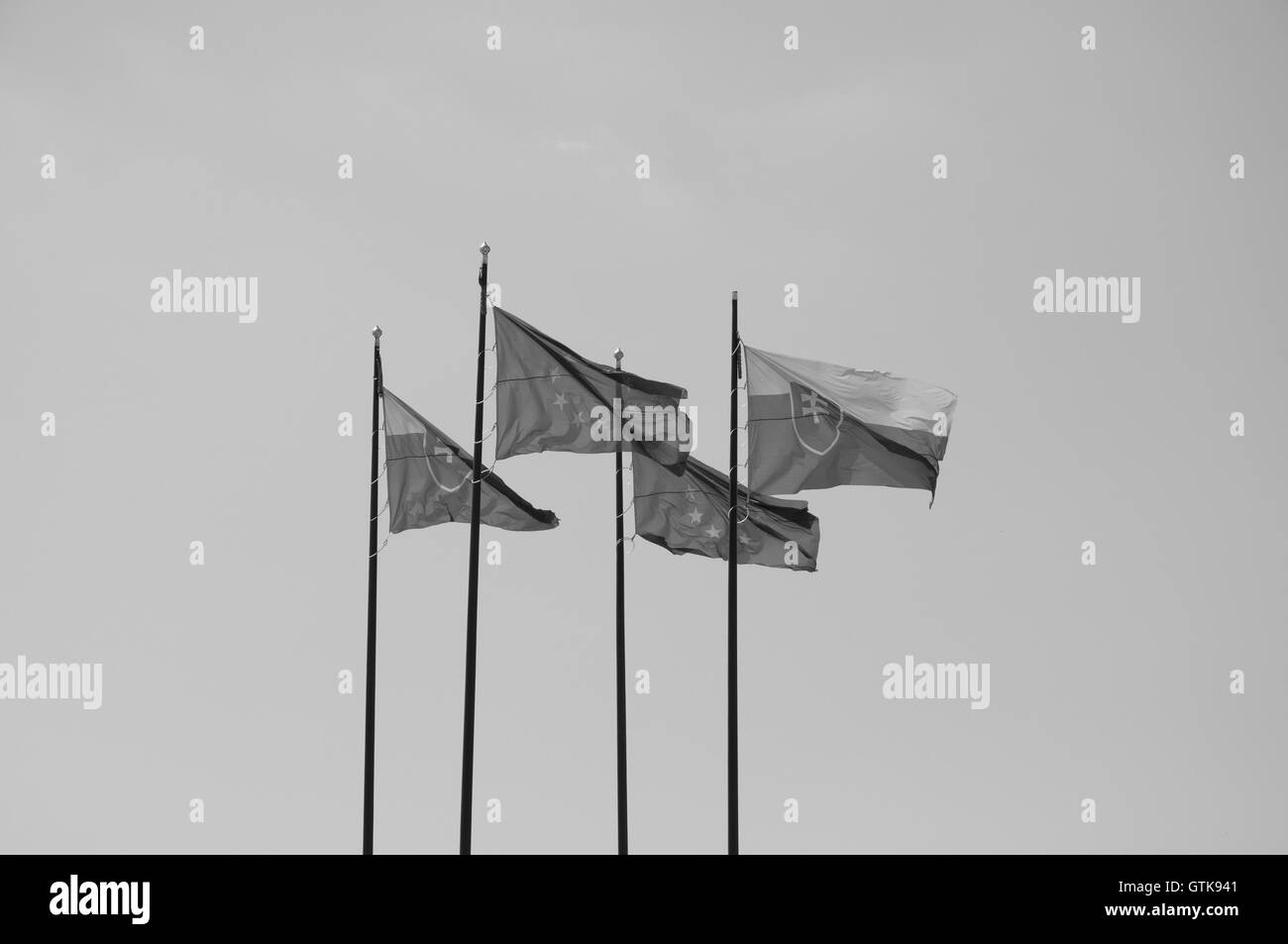 European union flags eu Black and White Stock Photos & Images - Alamy