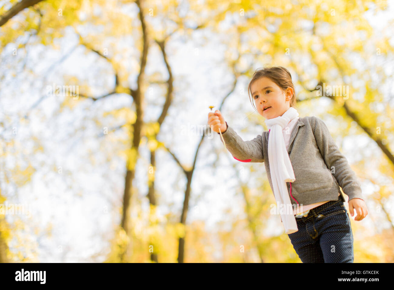 Cute little girl in the park at autumn Stock Photo - Alamy