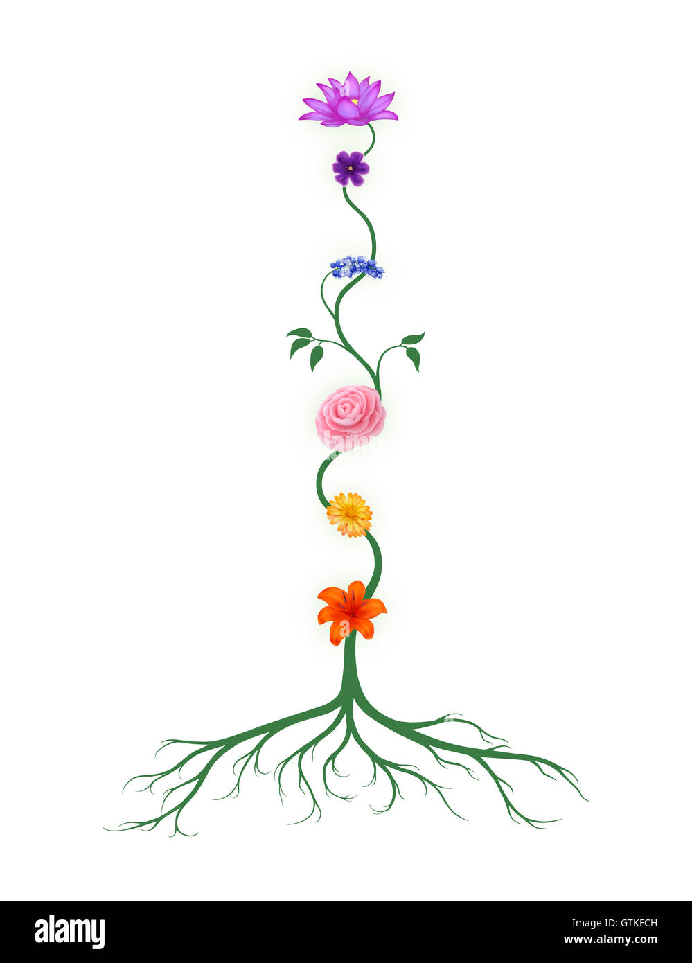 Chakra Flower Symbols at Joanne Tindall blog