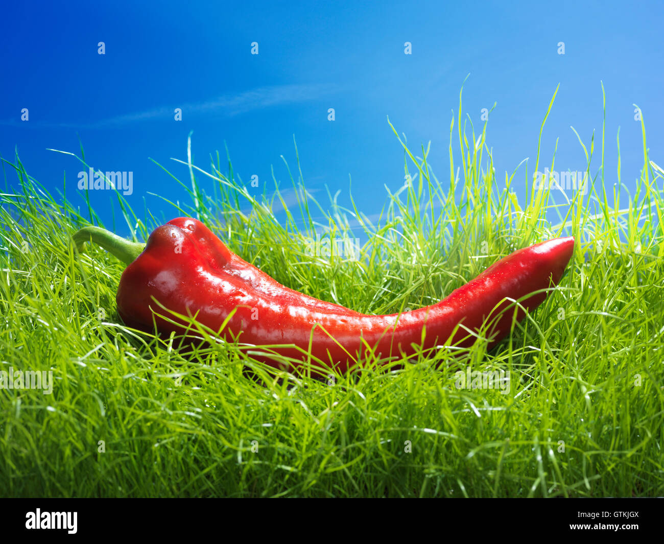 Long green pepper hi-res stock photography and images - Alamy