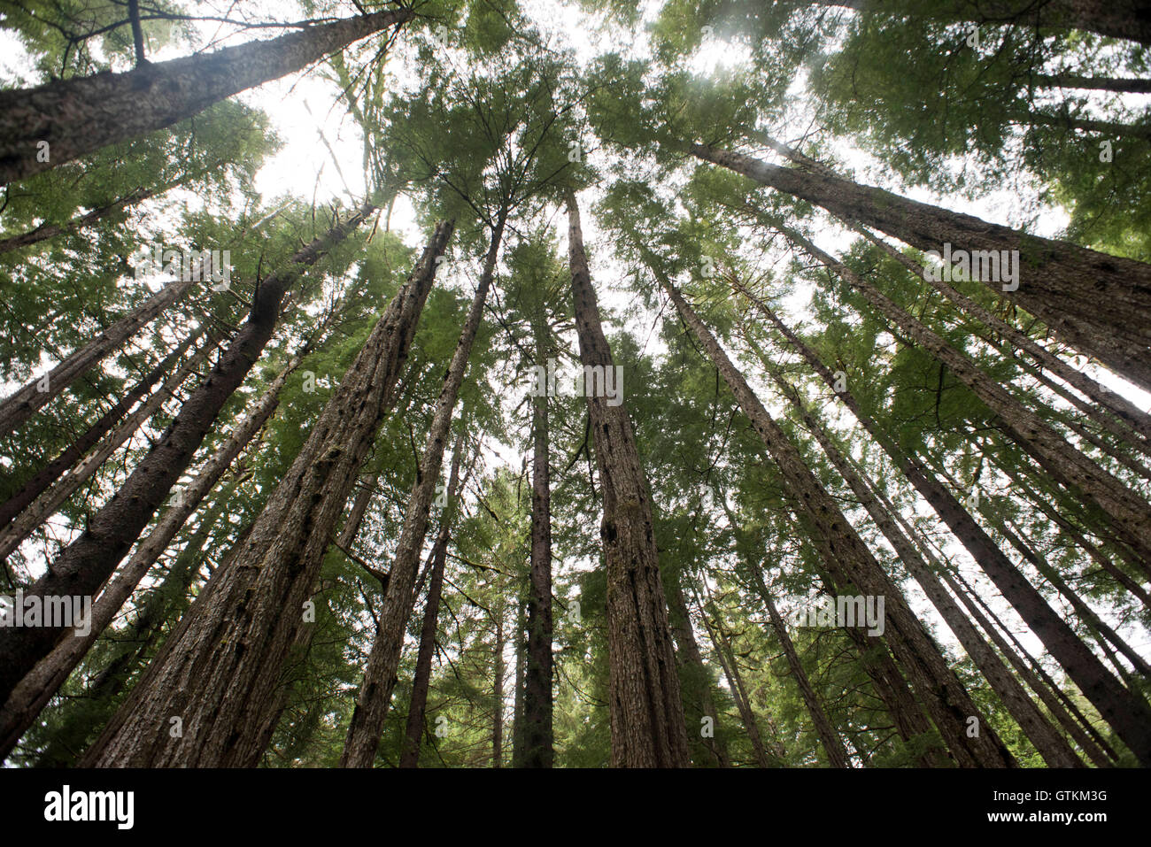 Islands three brothers hi-res stock photography and images - Alamy