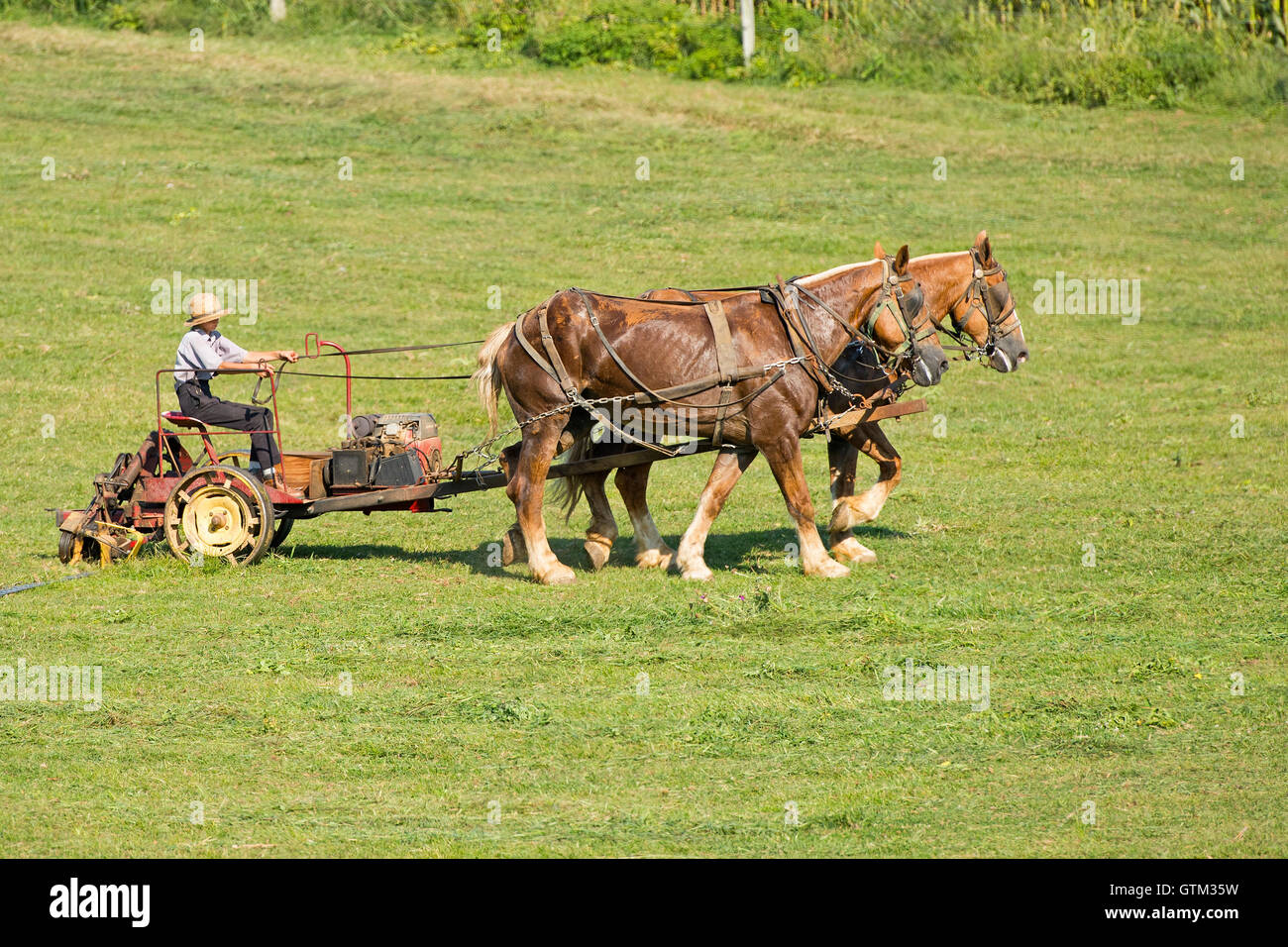 Amish farmer hi-res stock photography and images - Alamy