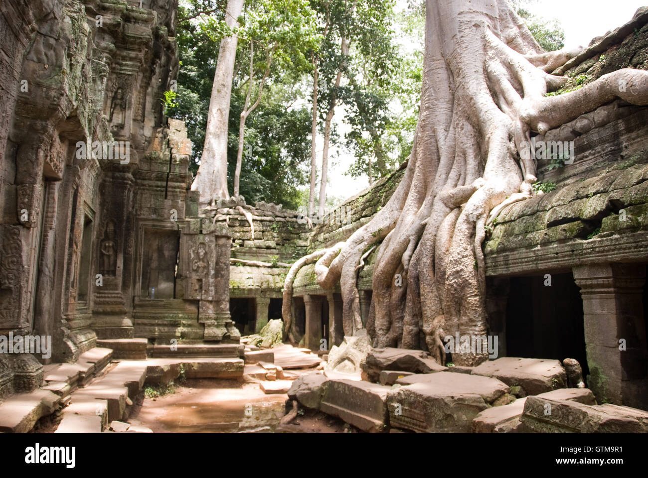 Angkor Wat Temples Stock Photo - Alamy