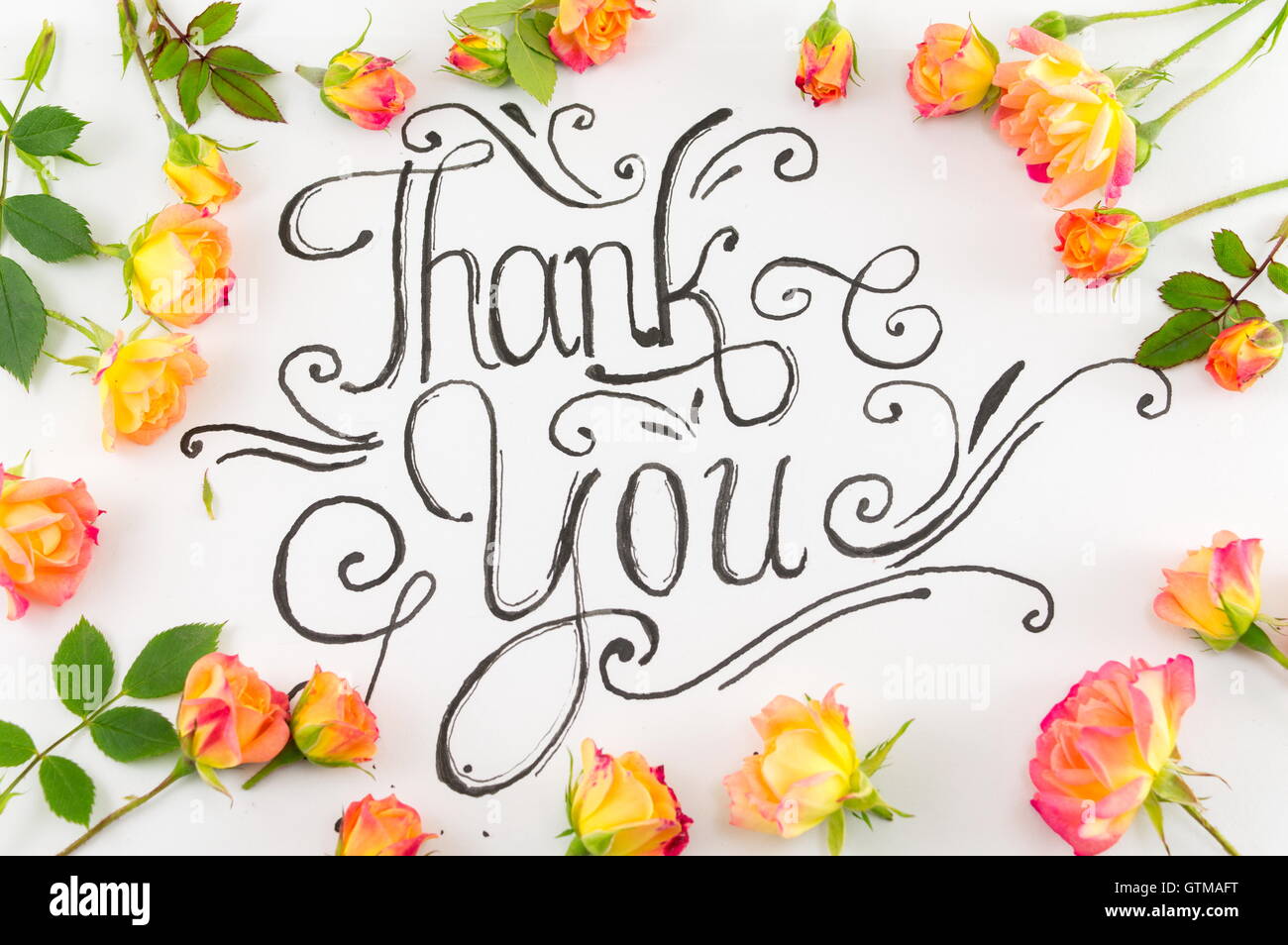 Thank you note surrounded by fresh roses Stock Photo - Alamy