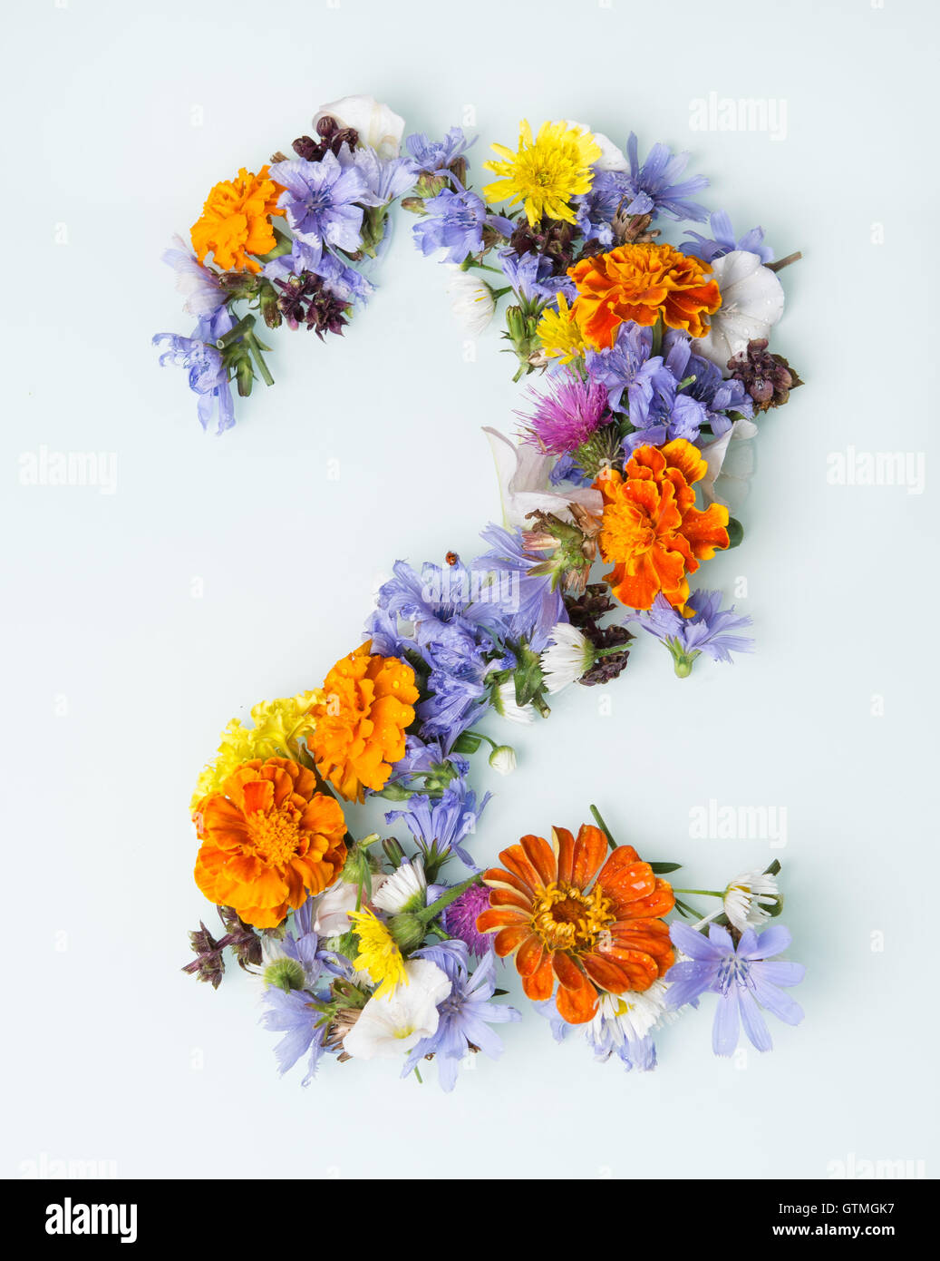 floral number two Stock Photo - Alamy