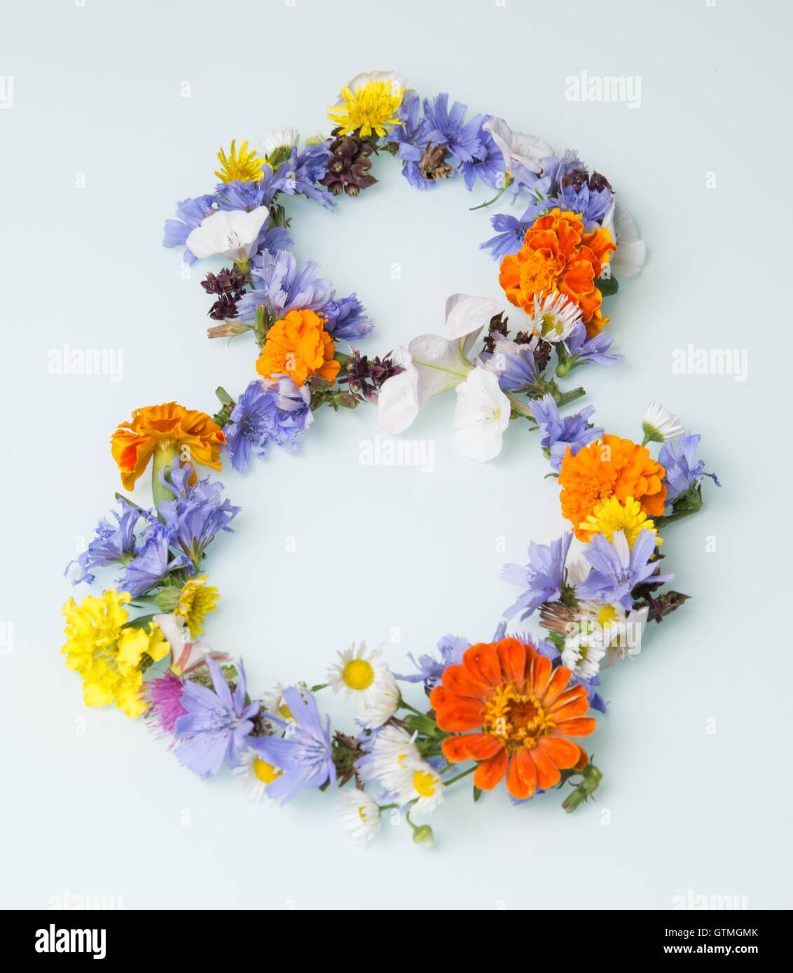 flower figure eight Stock Photo - Alamy