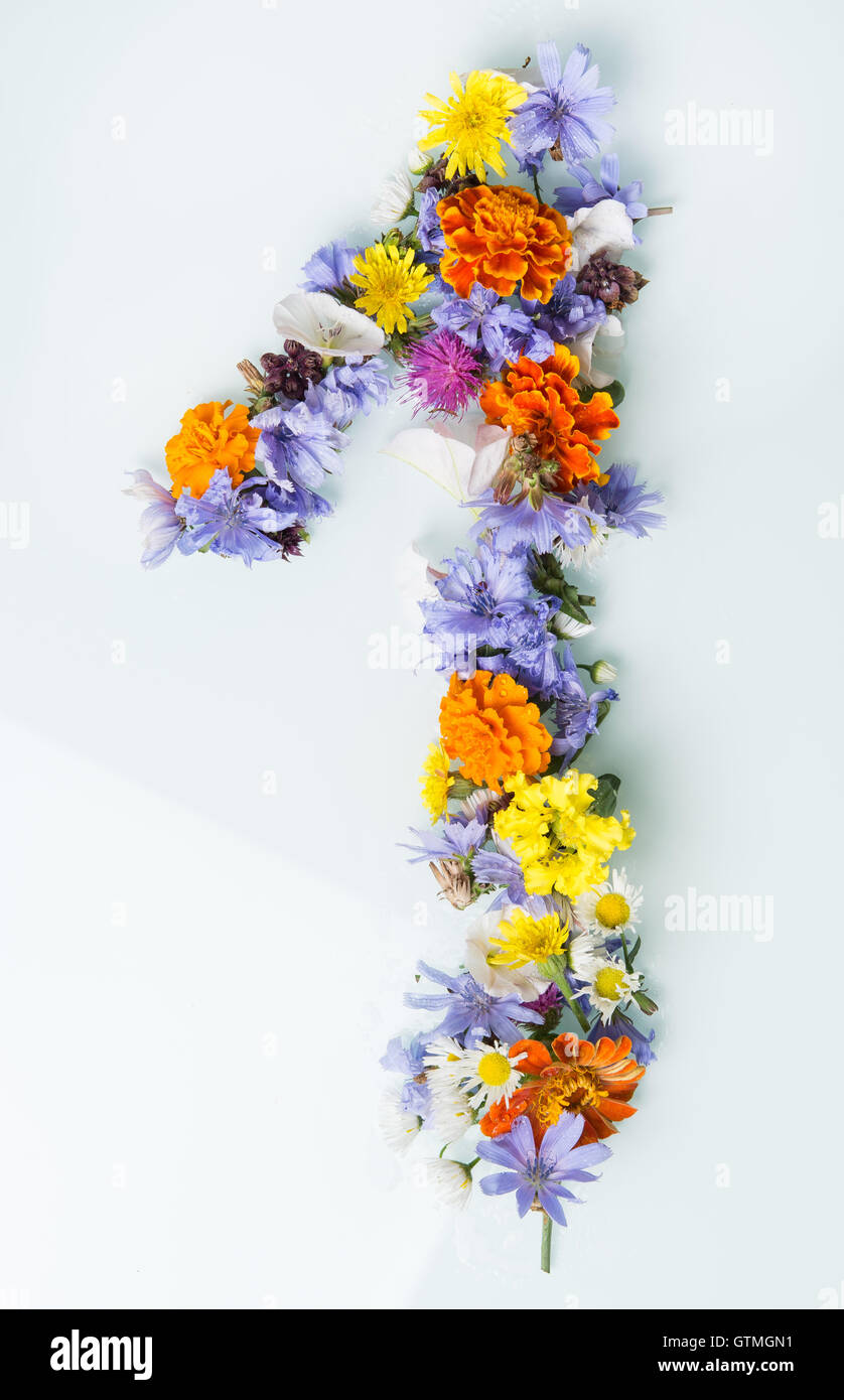 One flowerbed hi-res stock photography and images - Alamy