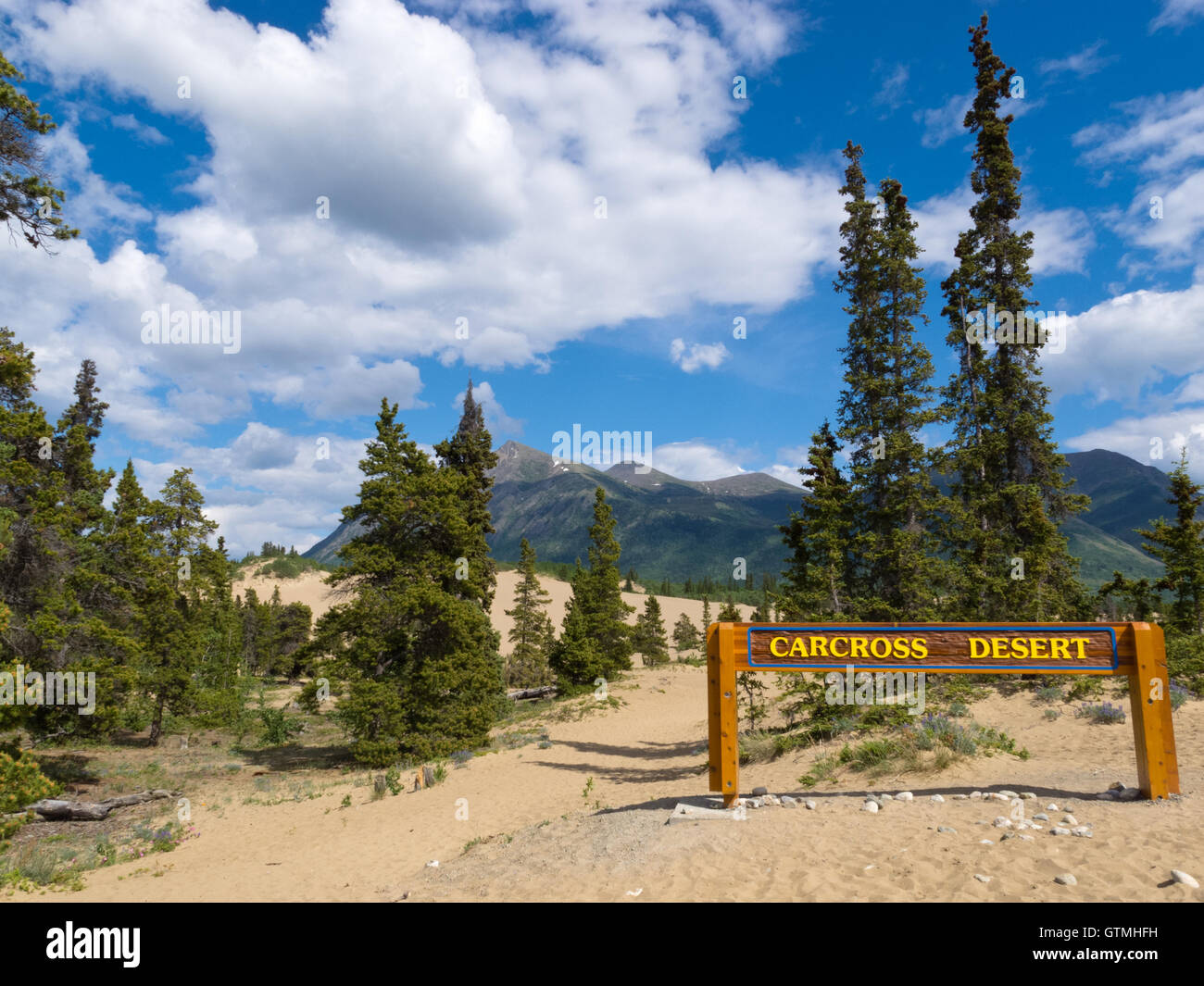 Carcross desert sand dunes Yukon Territory Canada Stock Photo - Alamy