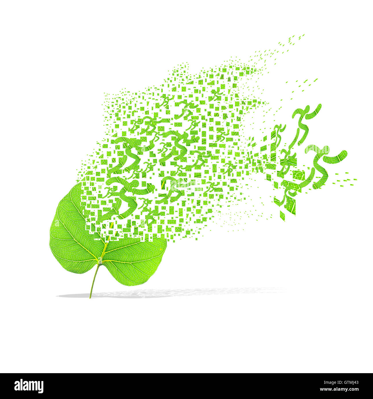 Running leaf of sport weight on white background Stock Photo - Alamy