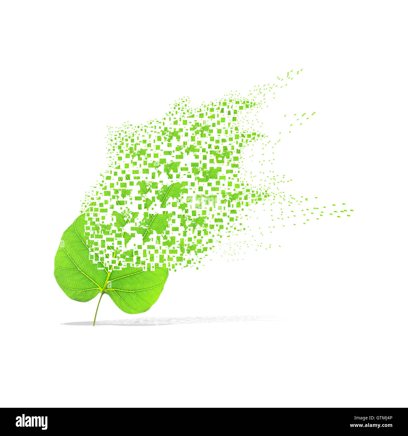 Green leaf of world map on white background Stock Photo - Alamy