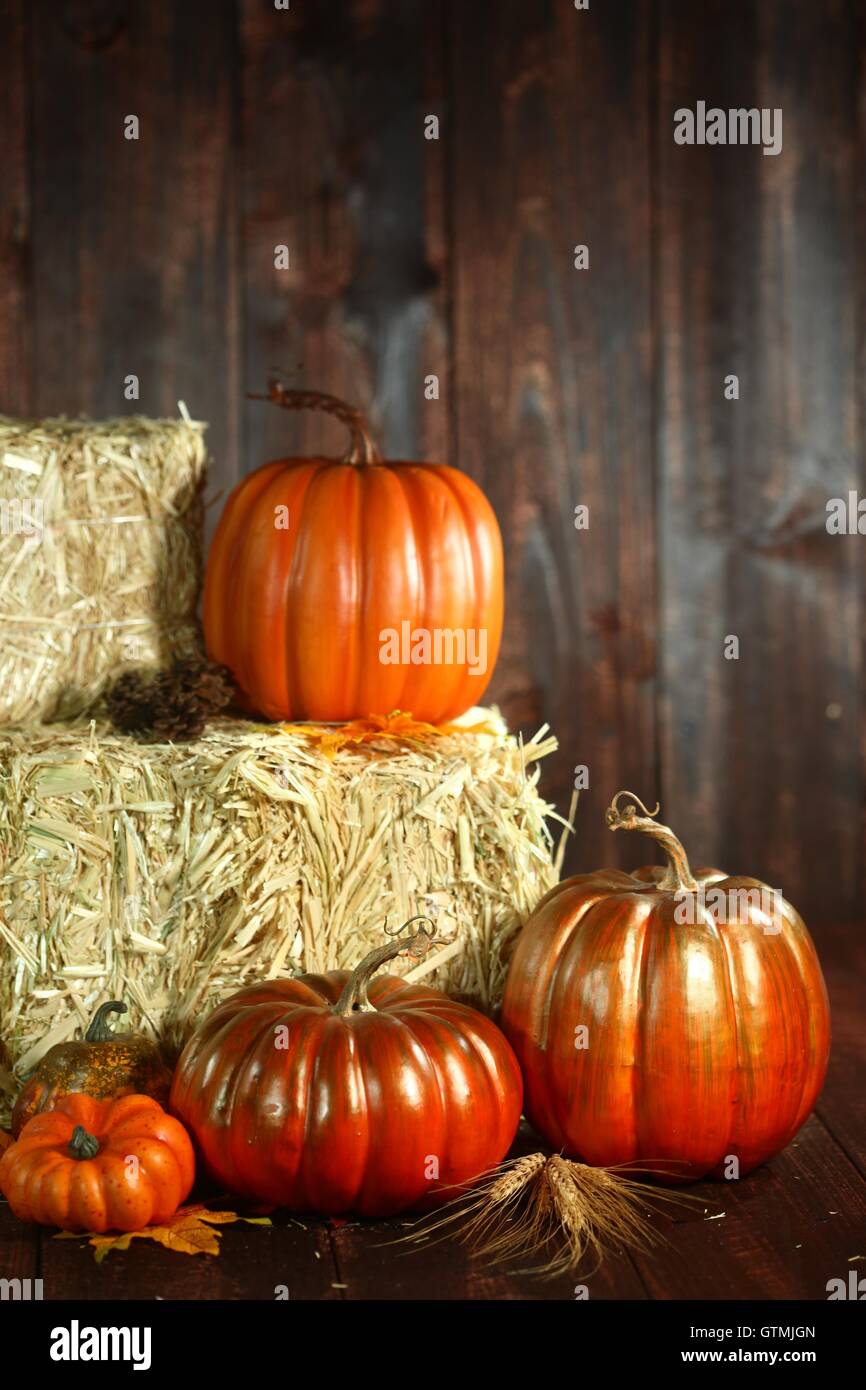 Fall Themed Scene With Pumpkins on Wood Stock Photo - Alamy