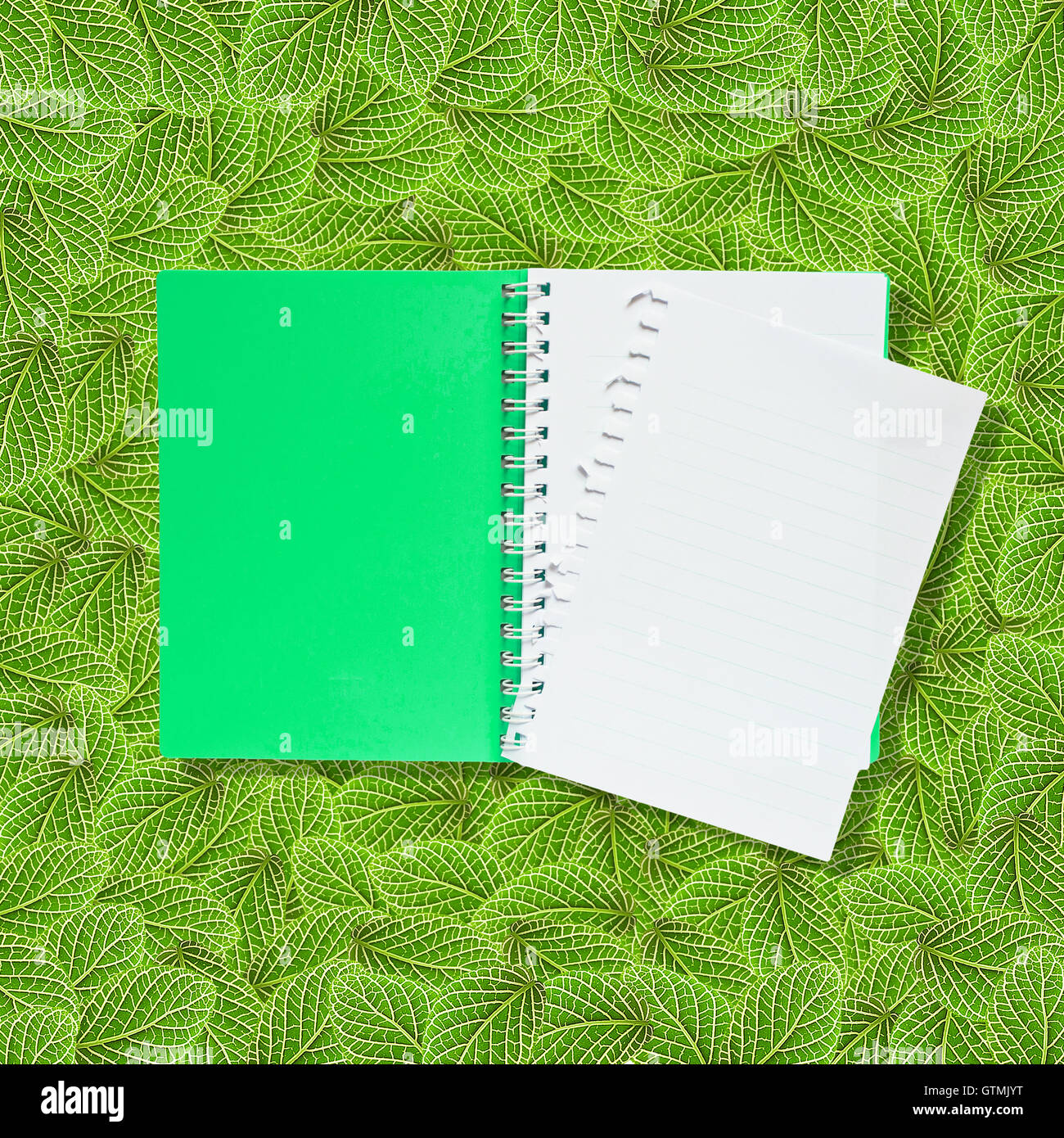 Open book landscape blank hi-res stock photography and images - Alamy